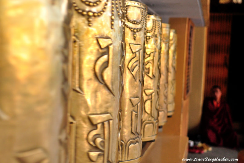 Trip to Killar, Pangi Valley, Himachal Pradesh | The Travelling Slacker