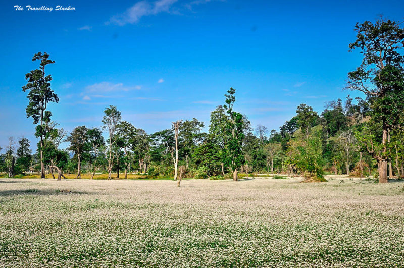 Shergaon: The Sherdukpen Heartland | The Travelling Slacker
