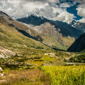 A short walk from Sangla to Rakcham | The Travelling Slacker