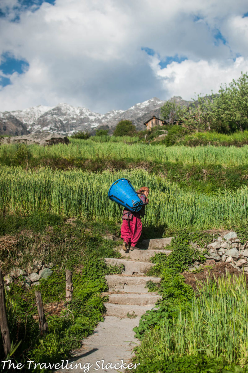 Tirthan Valley Guide: Gushaini, Batahad, Pekhri | The Travelling Slacker