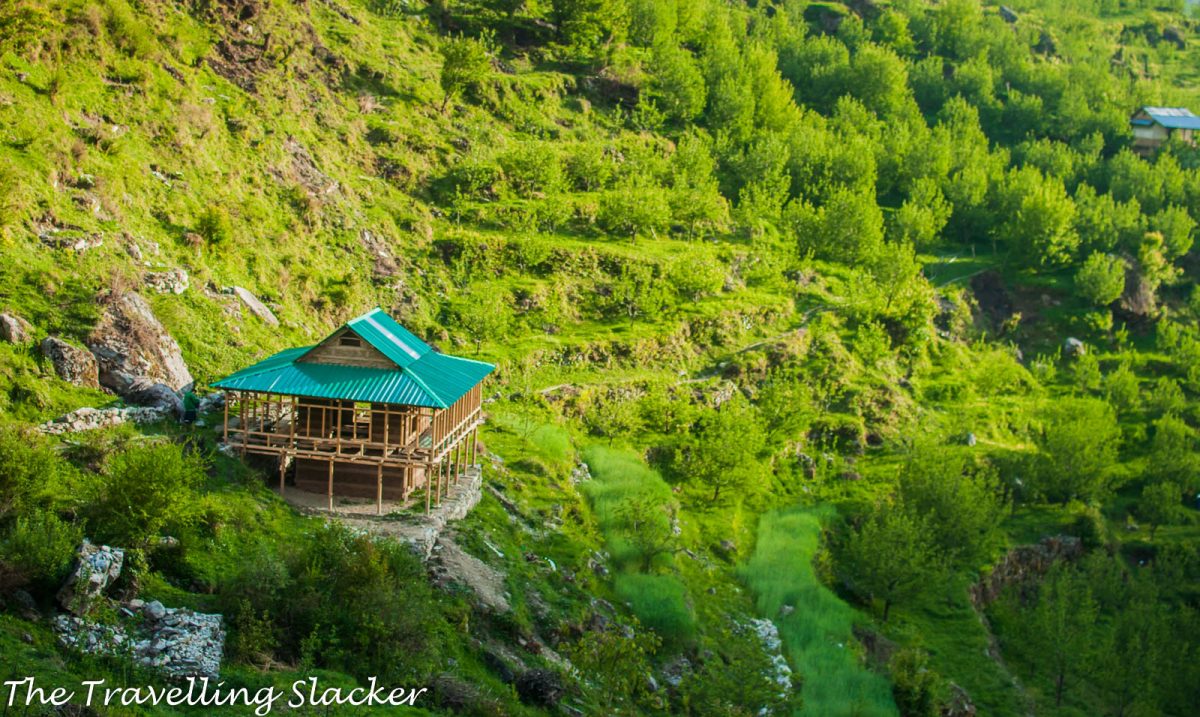 Tirthan Valley Guide: Gushaini, Batahad, Pekhri | The Travelling Slacker