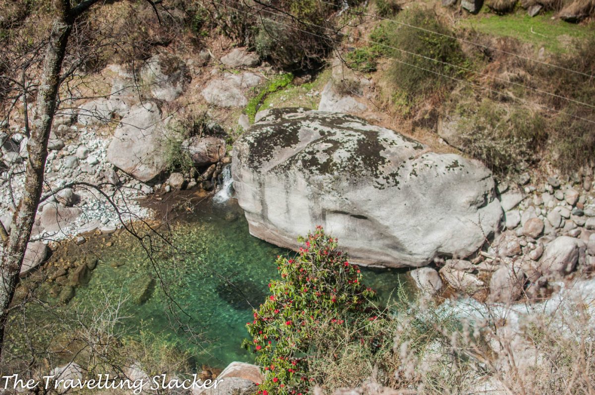 Tirthan Valley Guide: Gushaini, Batahad, Pekhri | The Travelling Slacker