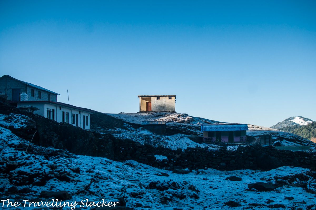 Chopta Snowfall & Rhododendrons in March | The Travelling Slacker