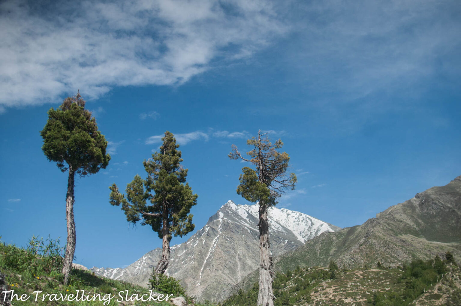 Miyar Valley Trek and Travel Guide | The Travelling Slacker