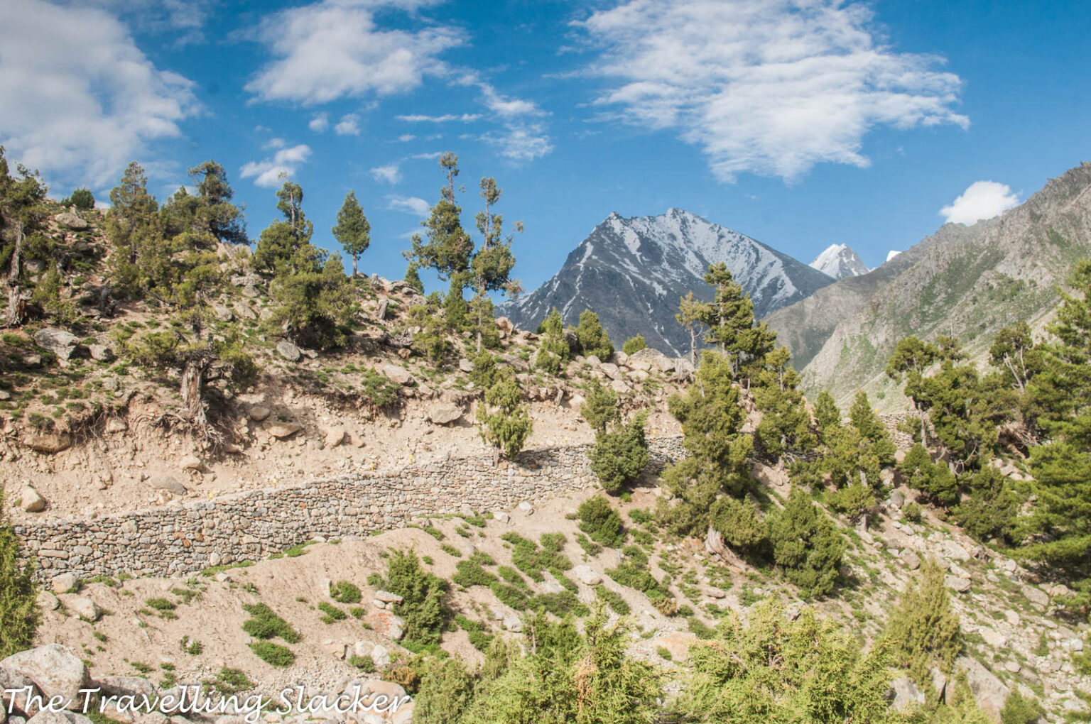 Miyar Valley Trek and Travel Guide | The Travelling Slacker