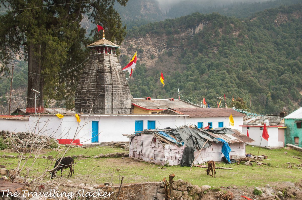 Anusuya Devi & Atri Muni Trek near Gopeshwar & Chopta | The Travelling ...