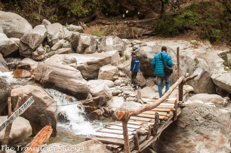 Anusuya Devi & Atri Muni Trek near Gopeshwar & Chopta | The Travelling ...