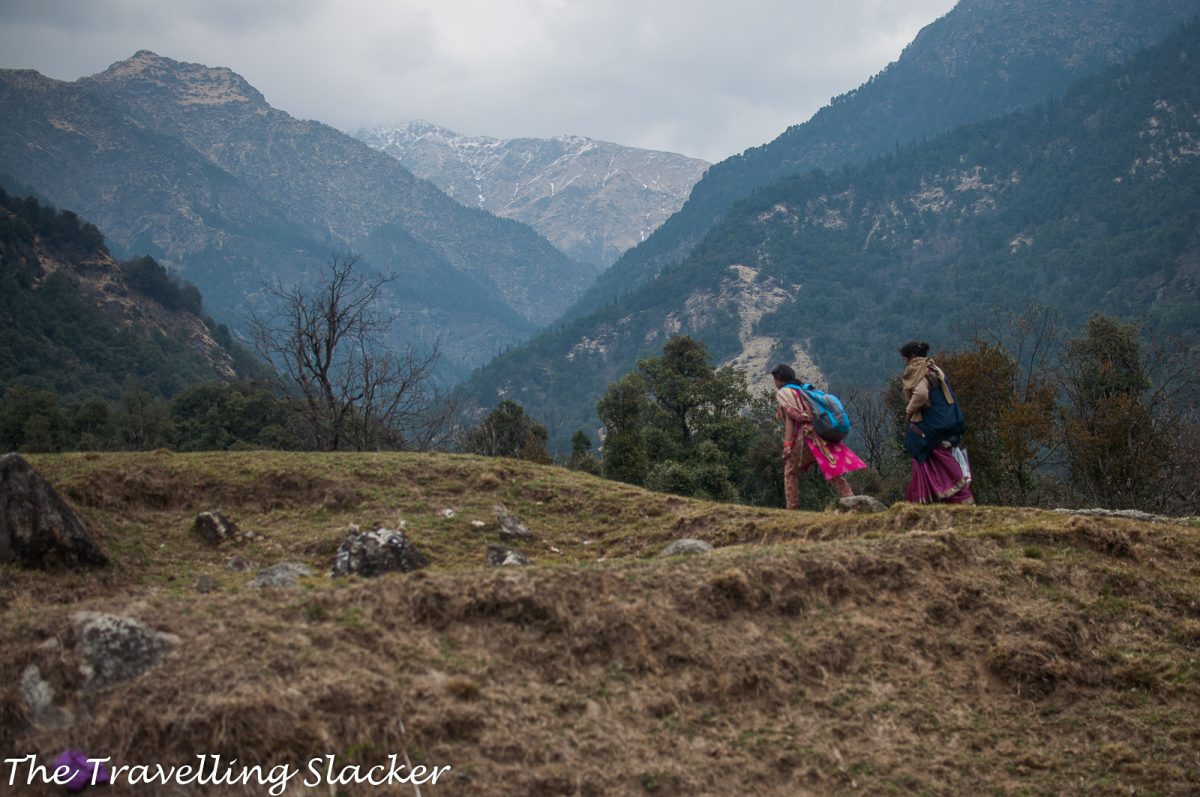 Anusuya Devi & Atri Muni Trek near Gopeshwar & Chopta | The Travelling ...