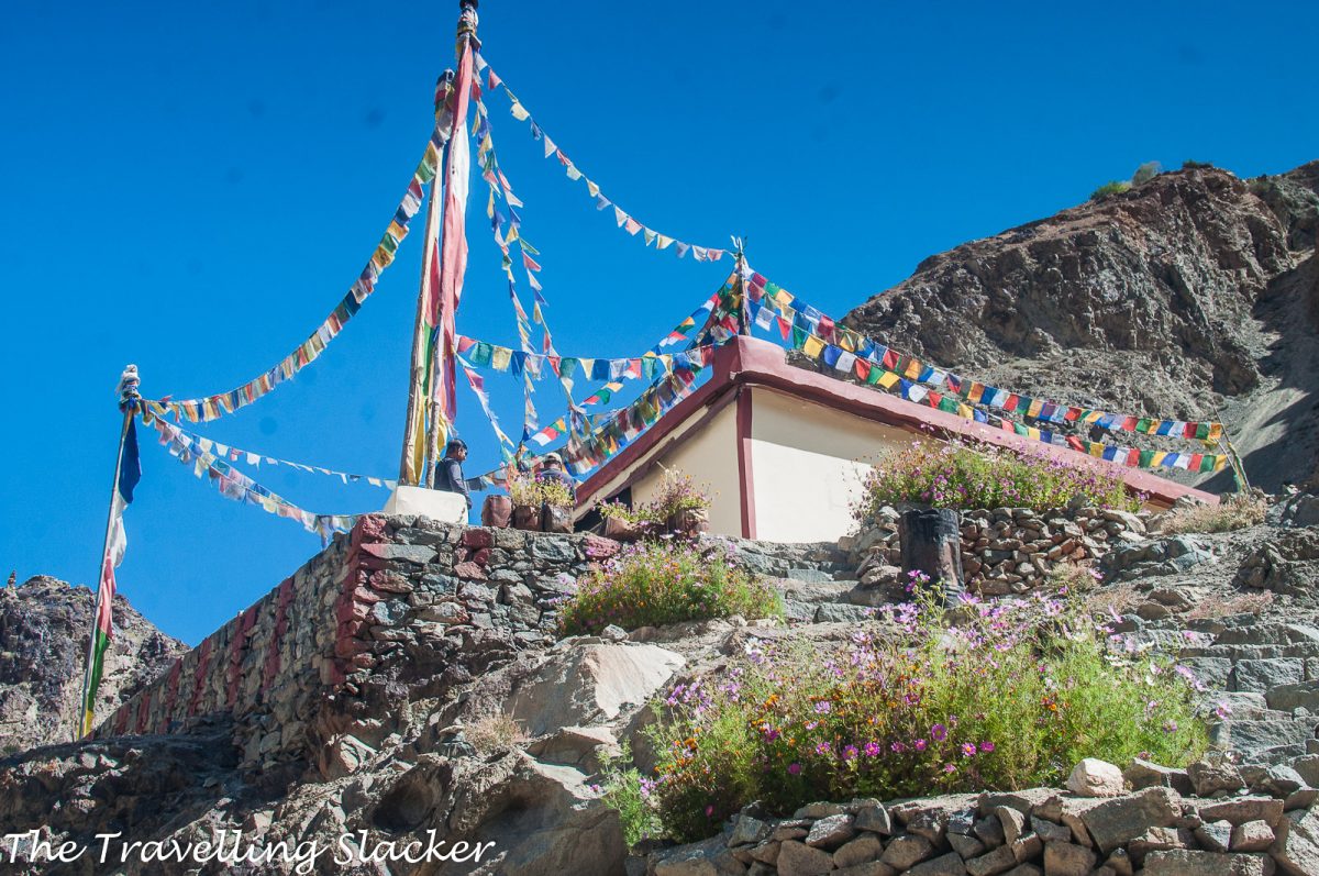 Turtuk: Traveloge and Complete Travel Guide | The Travelling Slacker