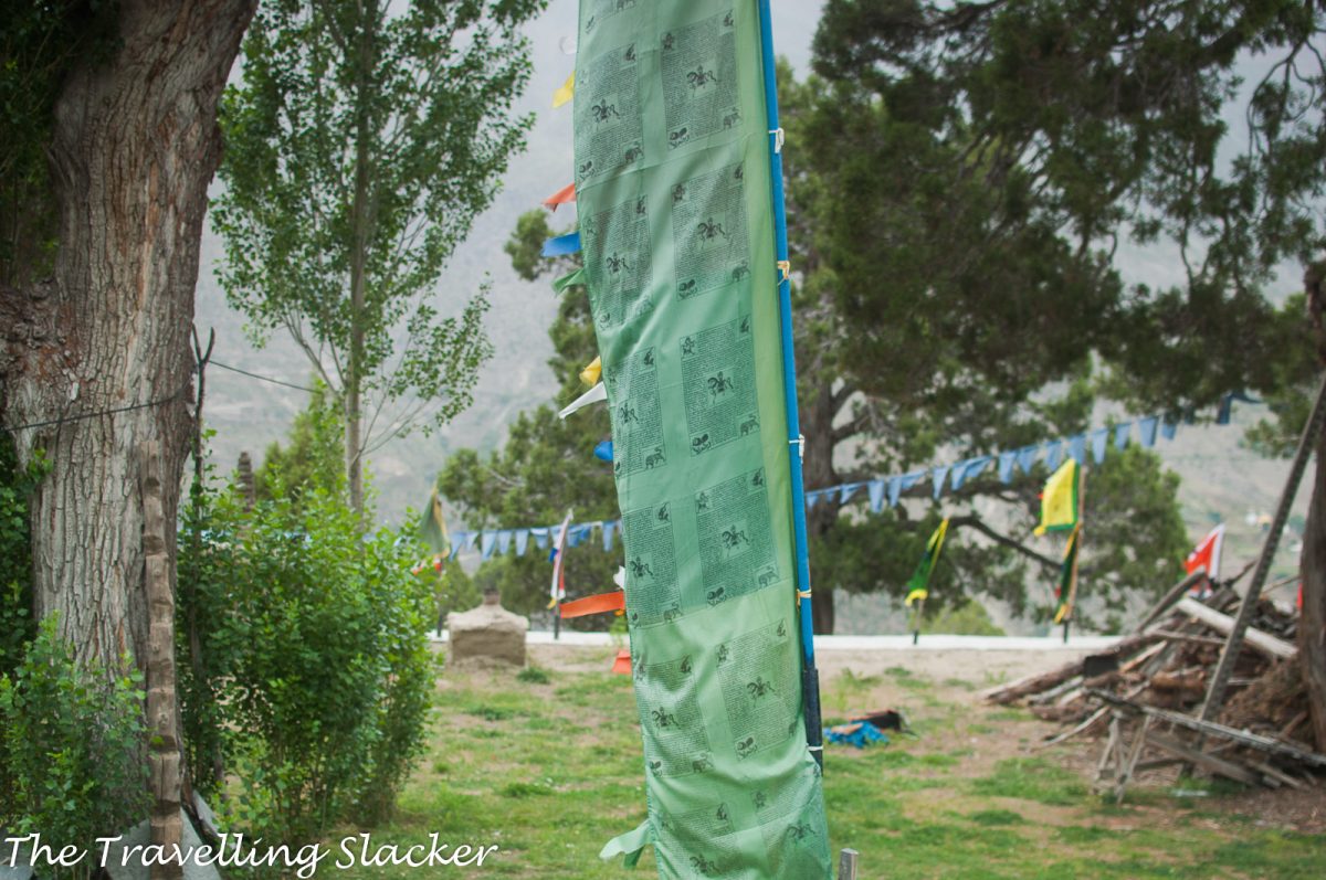 Tayul Gompa Trek, Keylong, Lahaul | The Travelling Slacker