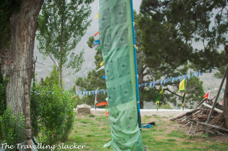 Tayul Gompa Trek, Keylong, Lahaul | The Travelling Slacker