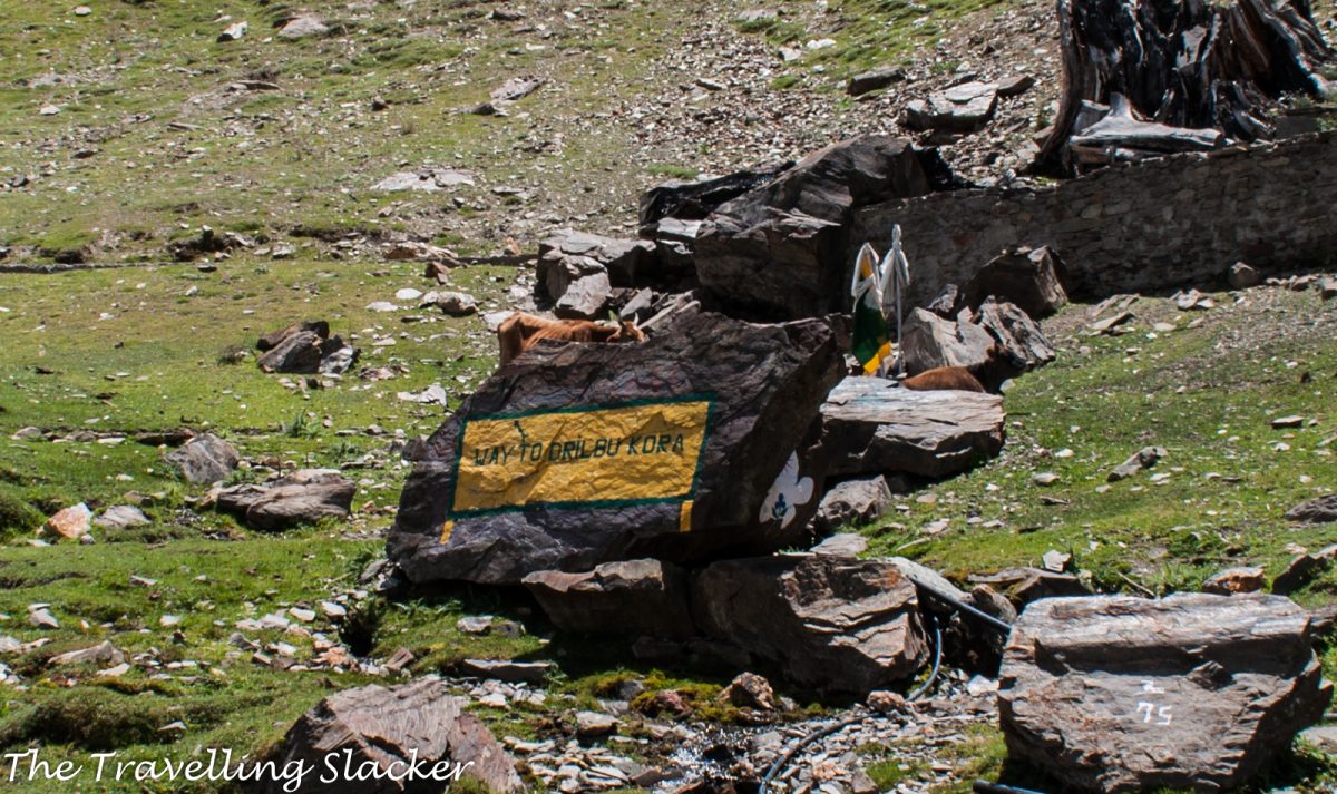 Lahaul Travel Guide: Keylong Hotels, Attractions, Things to Do | The ...