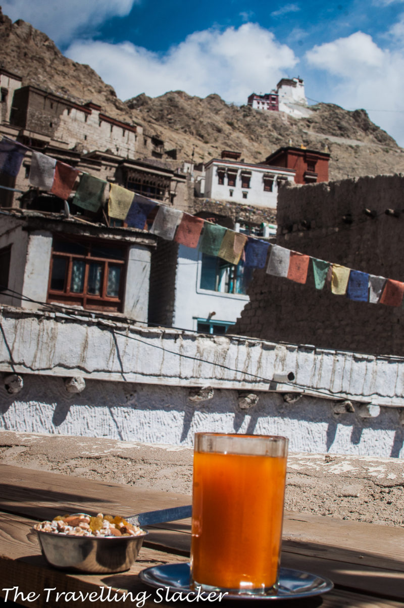 An Offbeat Walk Around Leh | The Travelling Slacker
