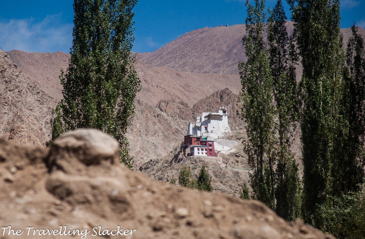 An Offbeat Walk Around Leh | The Travelling Slacker