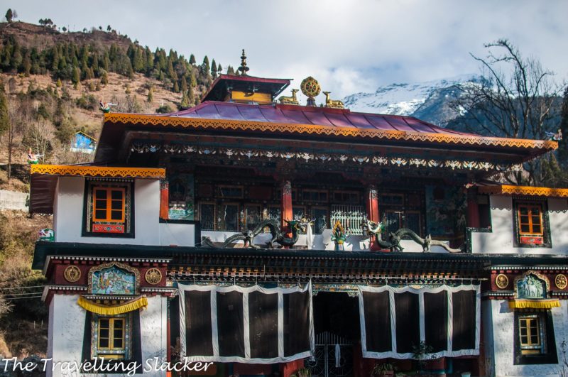 Yumthang Valley: Travelogue & Guide | The Travelling Slacker