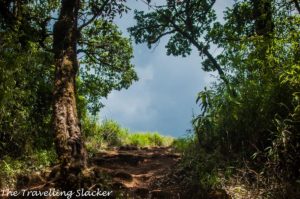 Trek to Shirui Hills, Ukhrul, Manipur | The Travelling Slacker