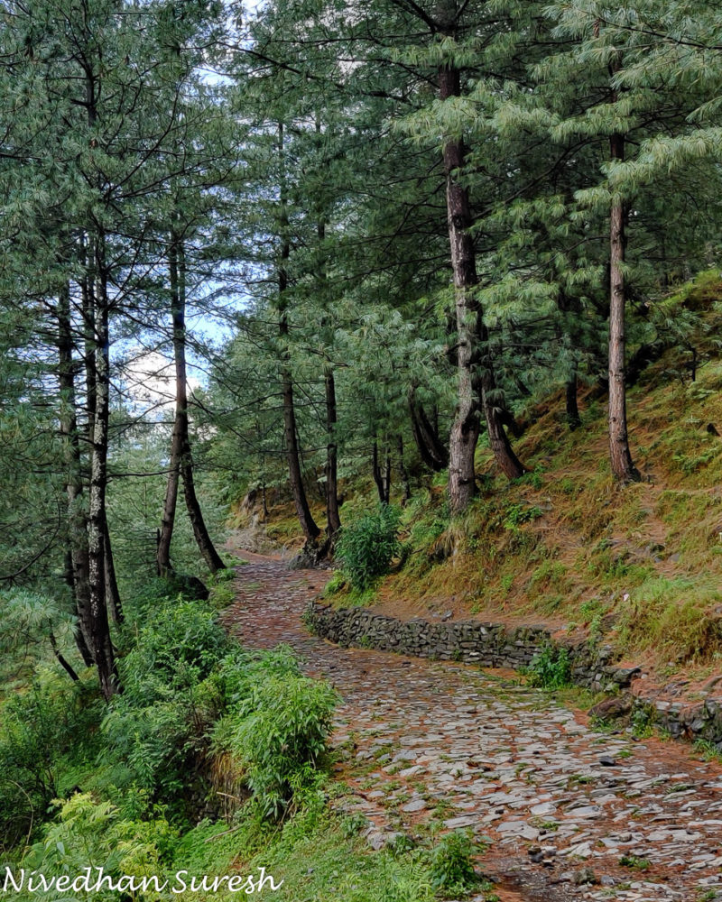 Dodra-Kwar via Chanshal Pass: All You Need to Know | The Travelling Slacker