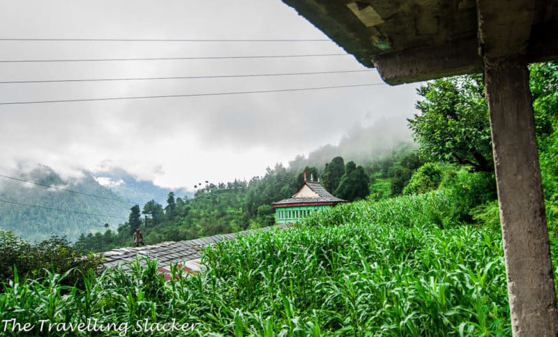Pekhri Village near Gushaini, Tirthan Valley | The Travelling Slacker