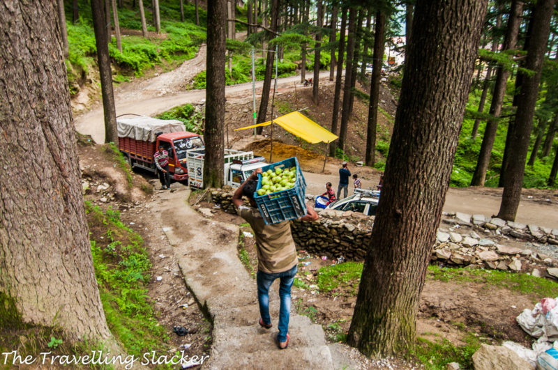 Thachi Valley, Himachal: All You Need to Know | The Travelling Slacker