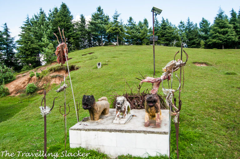 Thachi Valley, Himachal: All You Need to Know | The Travelling Slacker