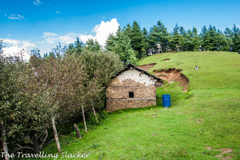 Thachi Valley, Himachal: All You Need to Know | The Travelling Slacker