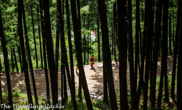 Thachi Valley, Himachal: All You Need to Know | The Travelling Slacker