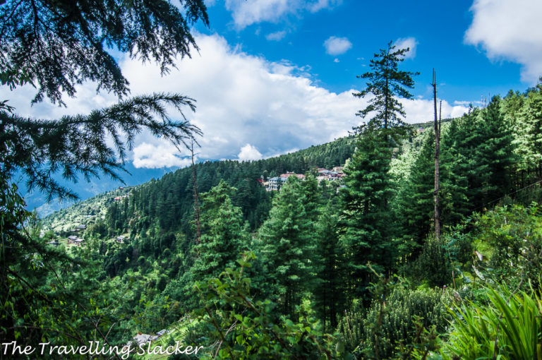 Thachi Valley, Himachal: All You Need to Know | The Travelling Slacker
