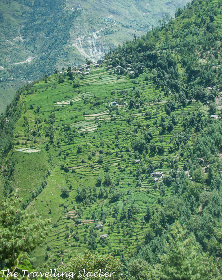 Thachi Valley, Himachal: All You Need to Know | The Travelling Slacker