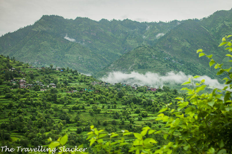 Thachi Valley, Himachal: All You Need to Know | The Travelling Slacker
