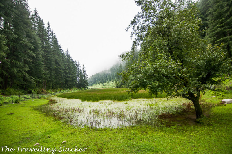 Sainj Valley Travel Guide | The Travelling Slacker