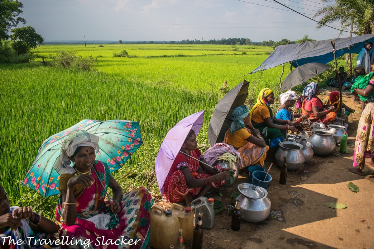 Bastar Travel Guide: Jagdalpur, Dantewada, & More | The Travelling Slacker