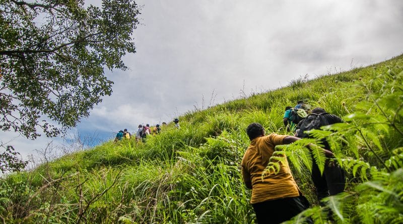 Netravathi Peak Trek: Offbeat Western Ghat Trek Near Chikmagalur | The ...