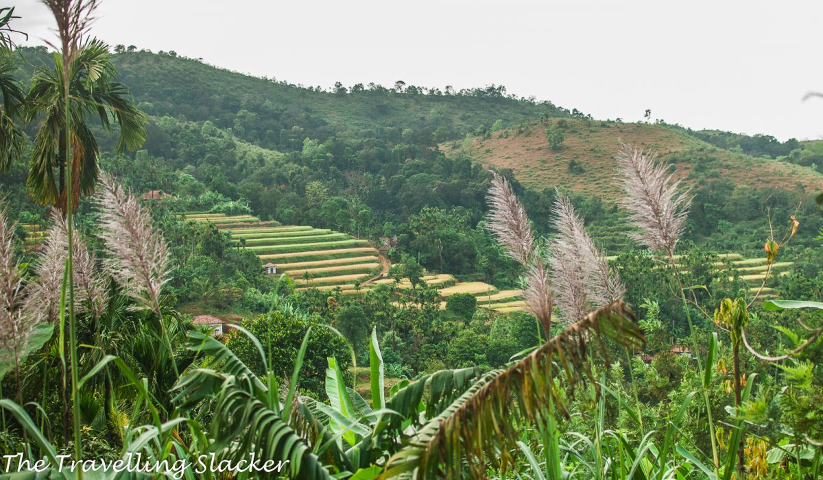 Netravathi Peak Trek: Offbeat Western Ghat Trek Near Chikmagalur | The ...