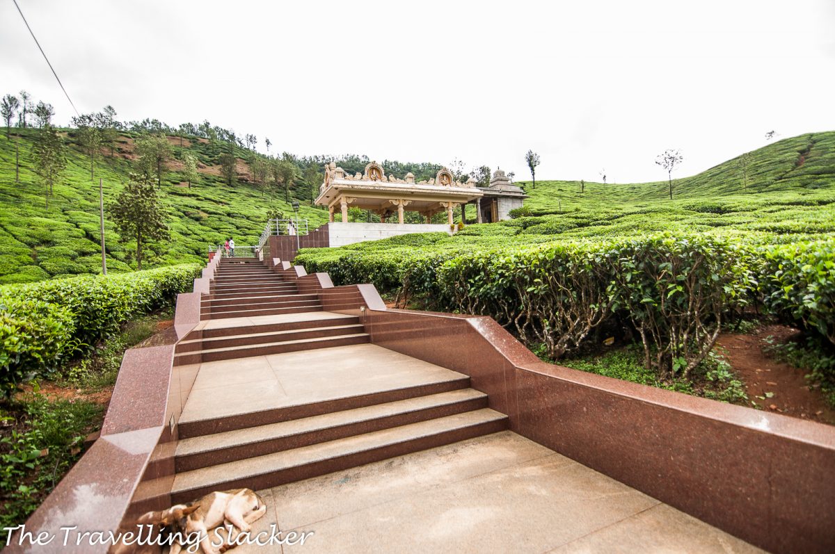 Netravathi Peak Trek: Offbeat Western Ghat Trek Near Chikmagalur | The ...