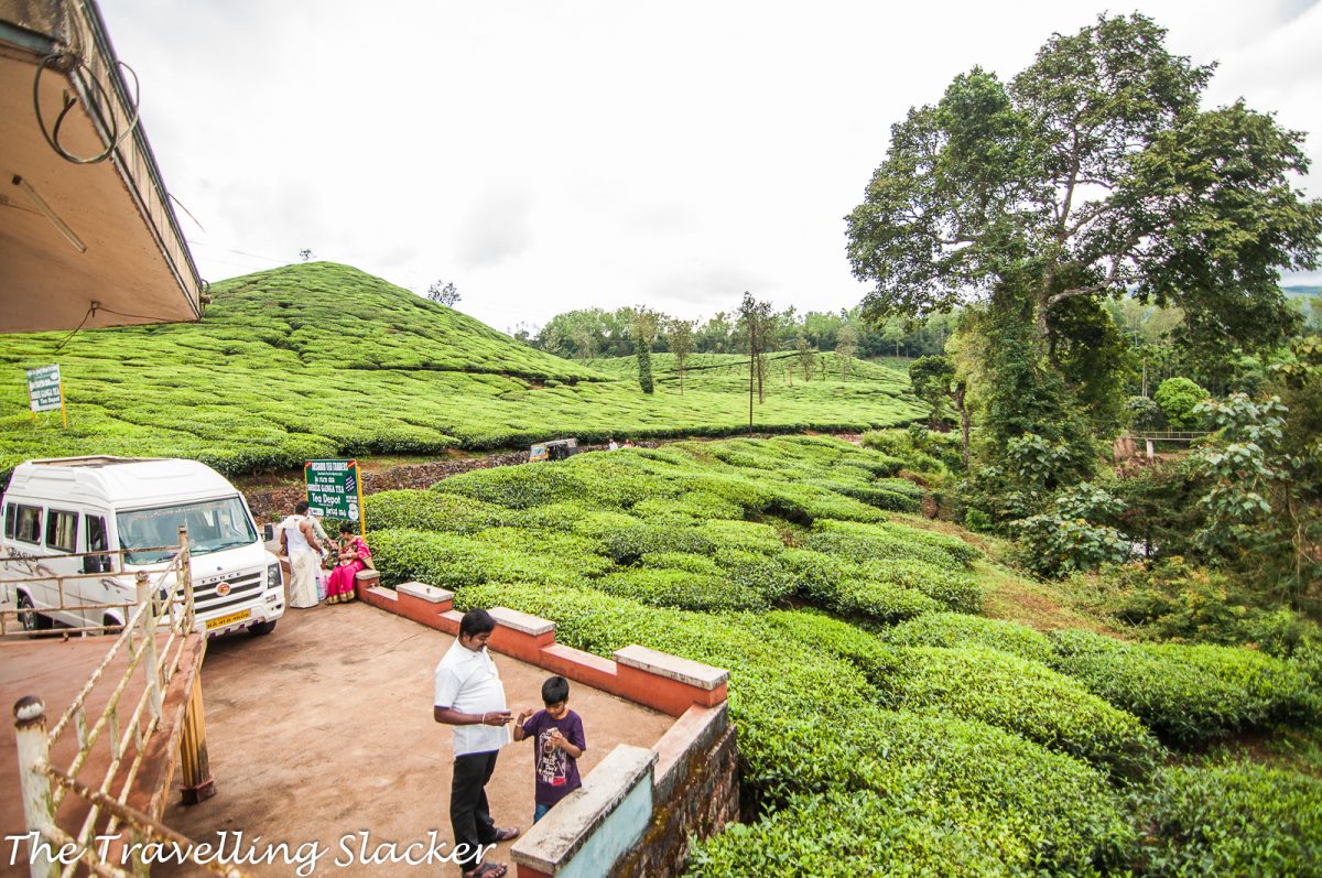 Netravathi Peak Trek: Offbeat Western Ghat Trek Near Chikmagalur | The ...