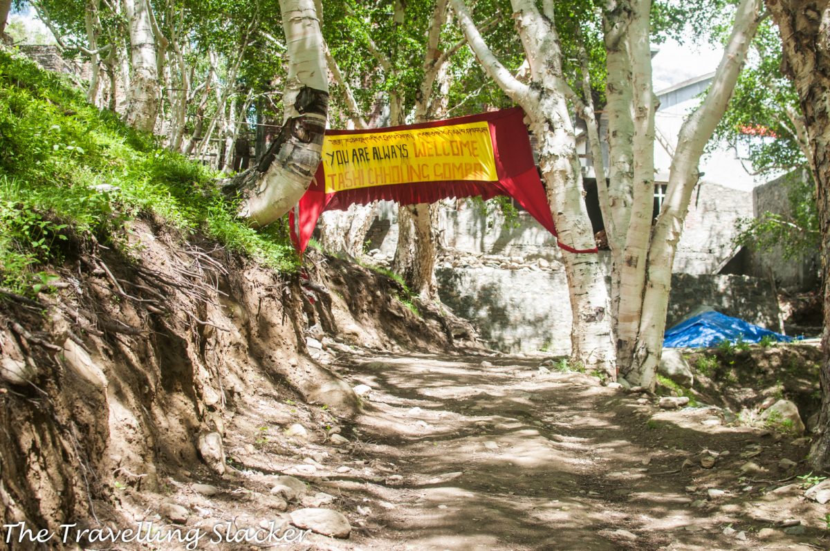 Killar to Sural Bhatori | Pangi Valley | The Travelling Slacker