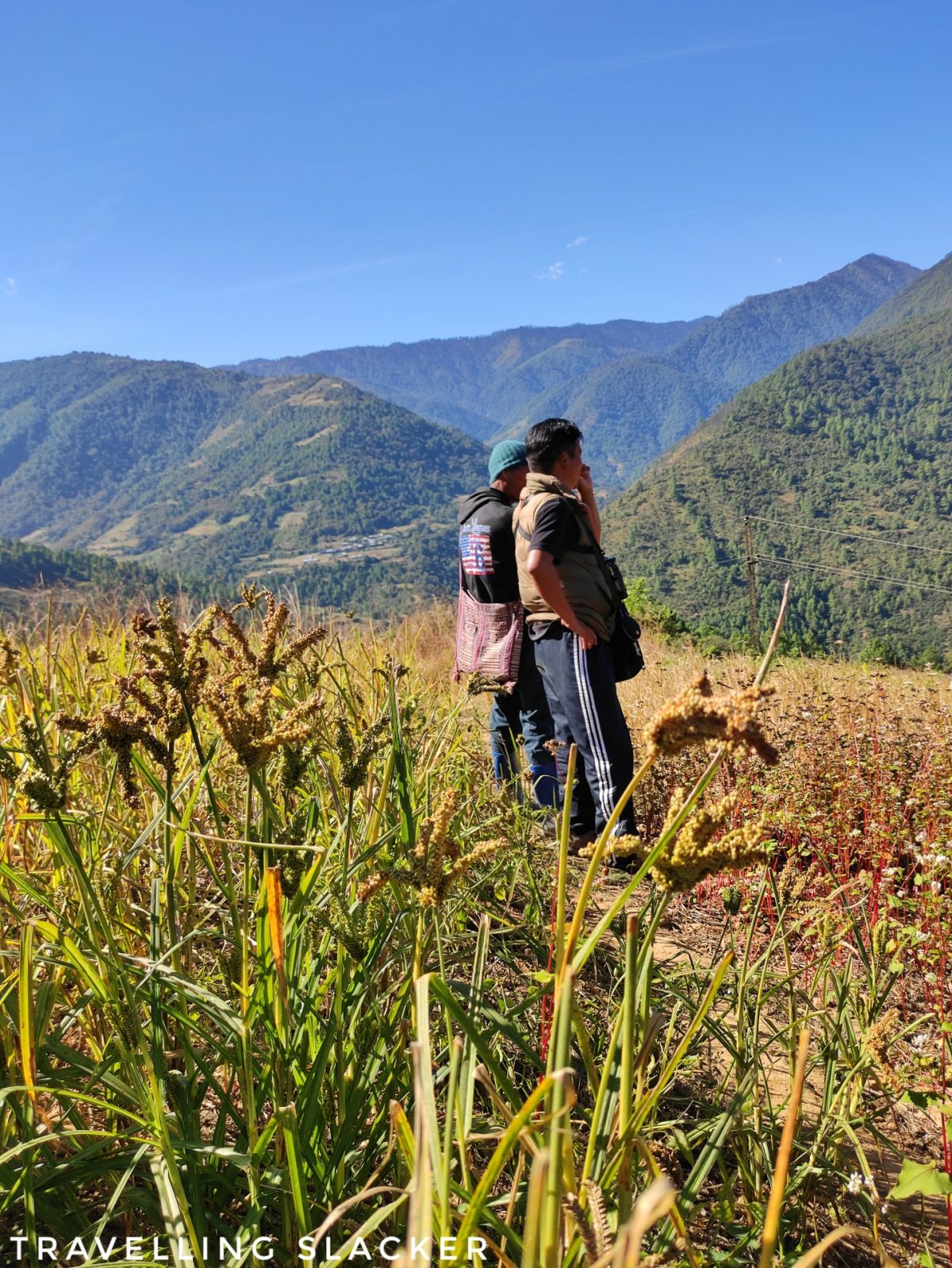 Dirang Valley Trek: From to Azure to Aquamarine | The Travelling Slacker