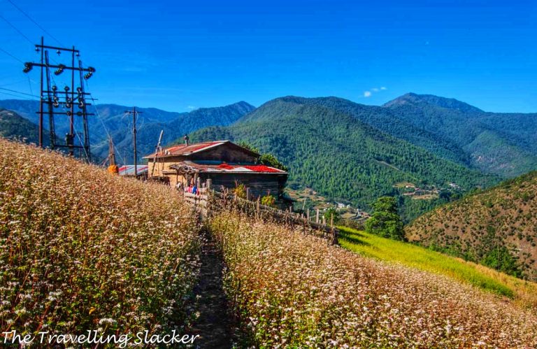 Dirang Valley Trek: From to Azure to Aquamarine | The Travelling Slacker