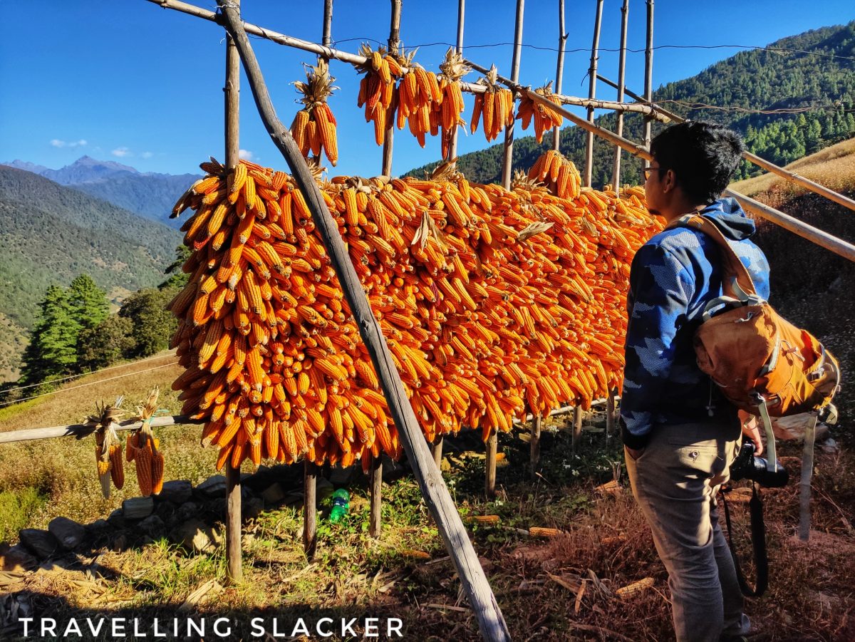 Dirang Valley Trek: From to Azure to Aquamarine | The Travelling Slacker