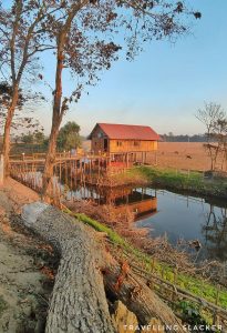 Majuli Island: Tourism, Sustainability & Backpacking