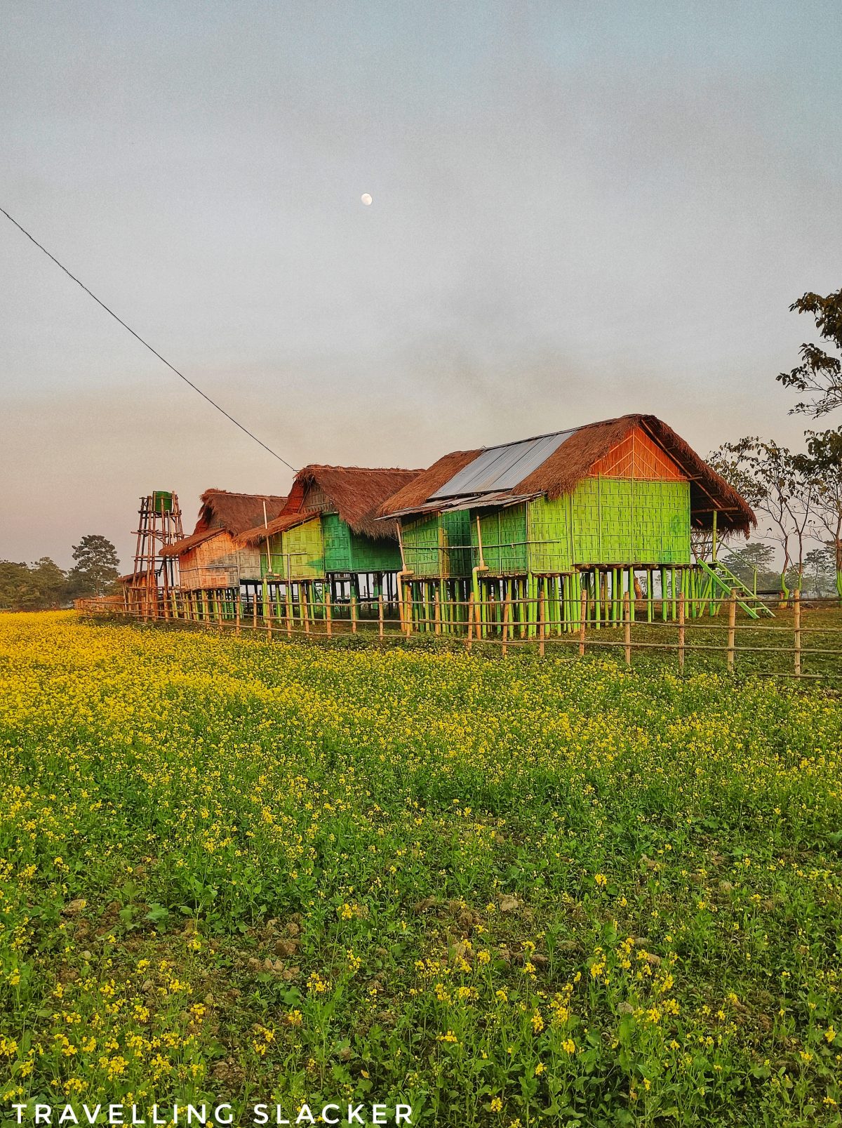 Majuli Island: Tourism, Sustainability & Backpacking