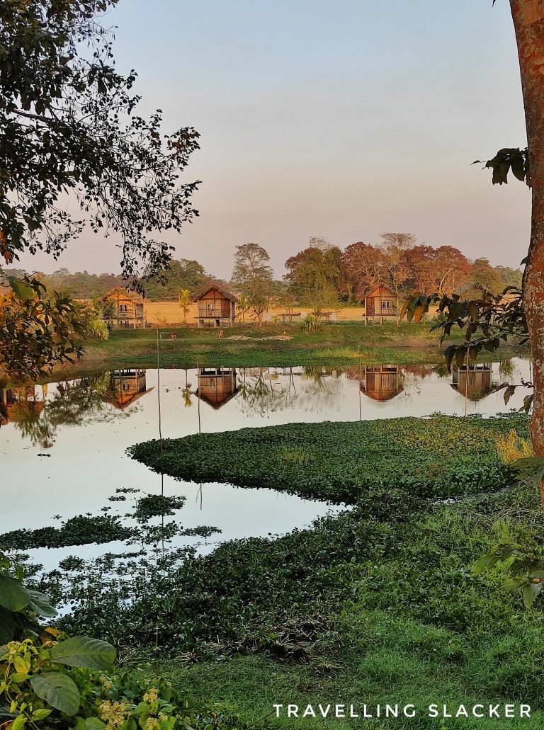 Majuli Travel Guide: A Complete Blog | The Travelling Slacker