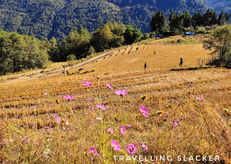 The Paper-Makers of Mukto Village, Tawang | The Travelling Slacker