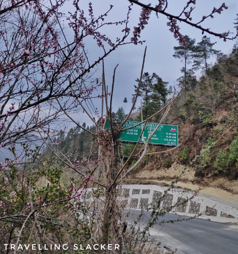 Chilipam Gompa (with Yokmuzor Buddha at Mushaksing): A Bumbling Detour ...