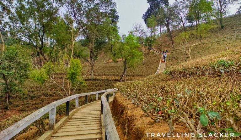 Tipam Hills: Short Hike, Loaded History | The Travelling Slacker
