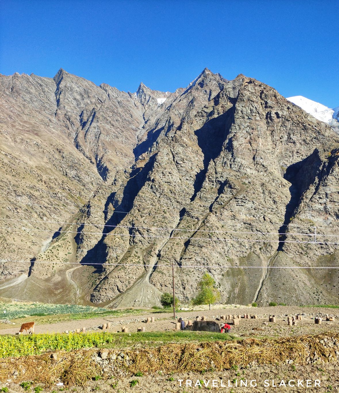 Khangsar Khar: Citadel Beyond the Bhaga | The Travelling Slacker