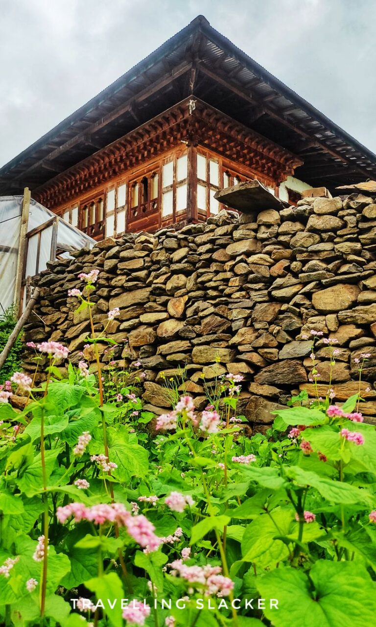 Phobjikha Valley: Day Hike to Gangtey Monastery | The Travelling Slacker