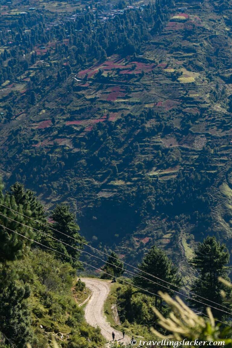 Dodra Village: Amaranths beyond Chanshal | The Travelling Slacker