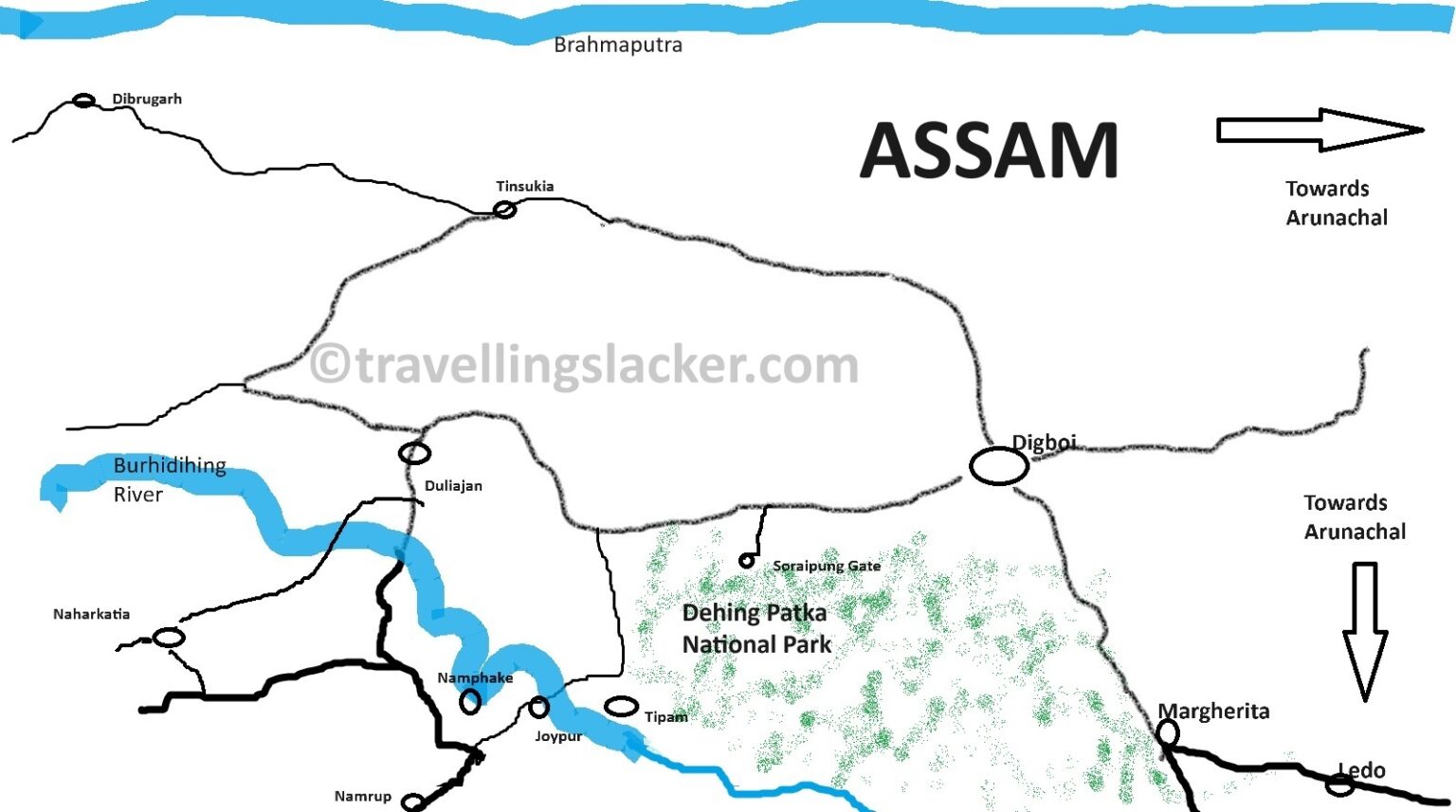 Dehing Patkai National Park: A Morning Hike Through The Rainforest ...